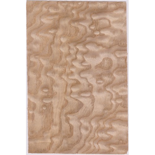 Buy Tamo Ash Drum Shells - Quality Ply Drum Shells - drumshellsuk.com